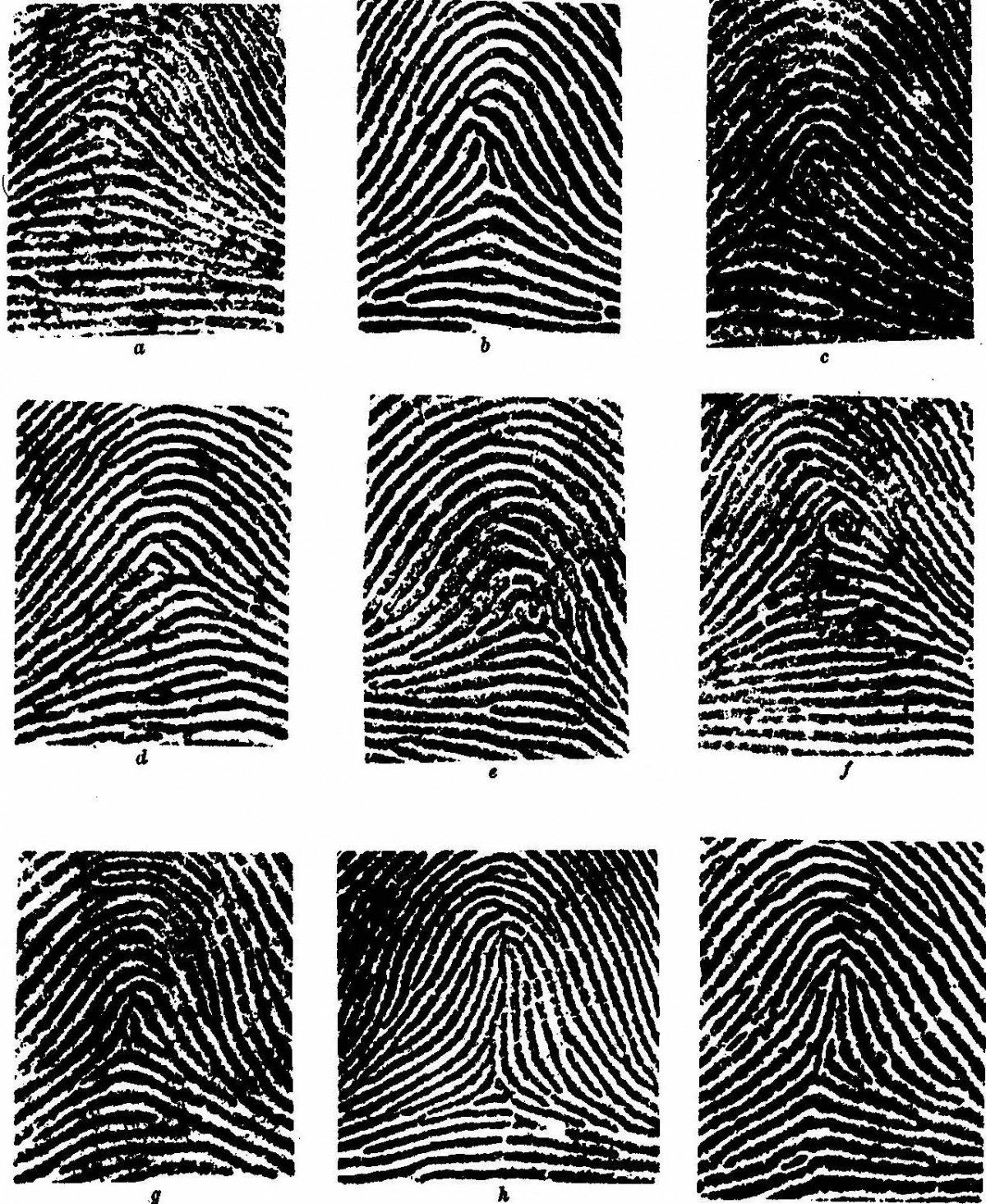 In/visible Subjects of AI: Ghost Work & Biometric Control in the Global ...